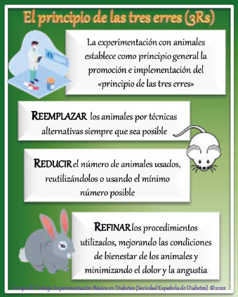 ¿Por qué es todavía necesaria la investigación con modelos animales en ...