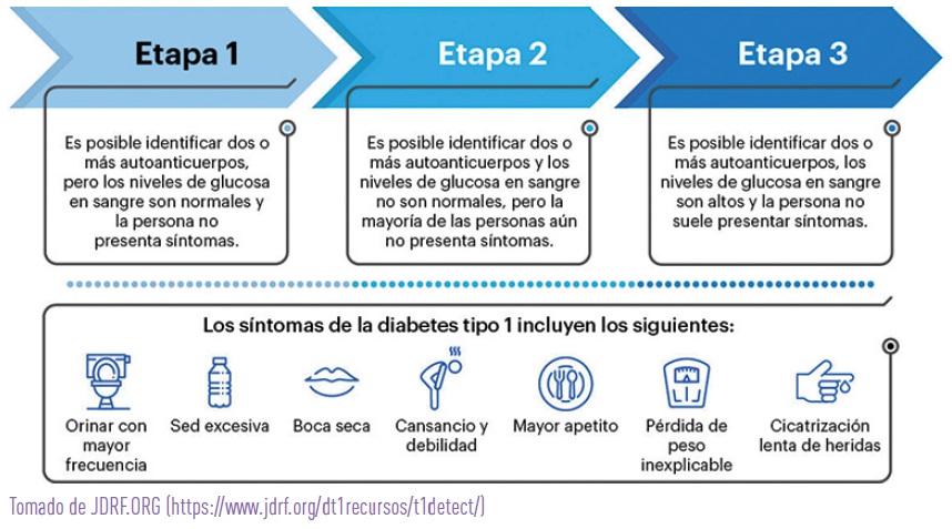 Diagrama De Diabetes Tipo 1 Pancreas Diabetes Tipo 1 Y 2